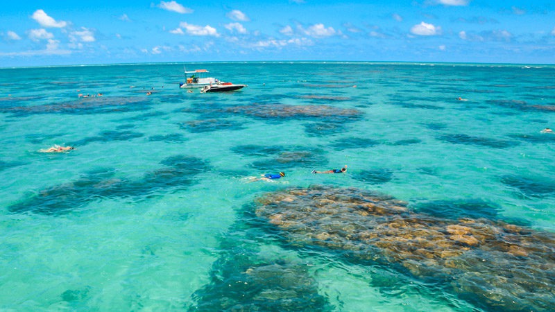 5 motivos para conhecer Maragogi, no Alagoas!